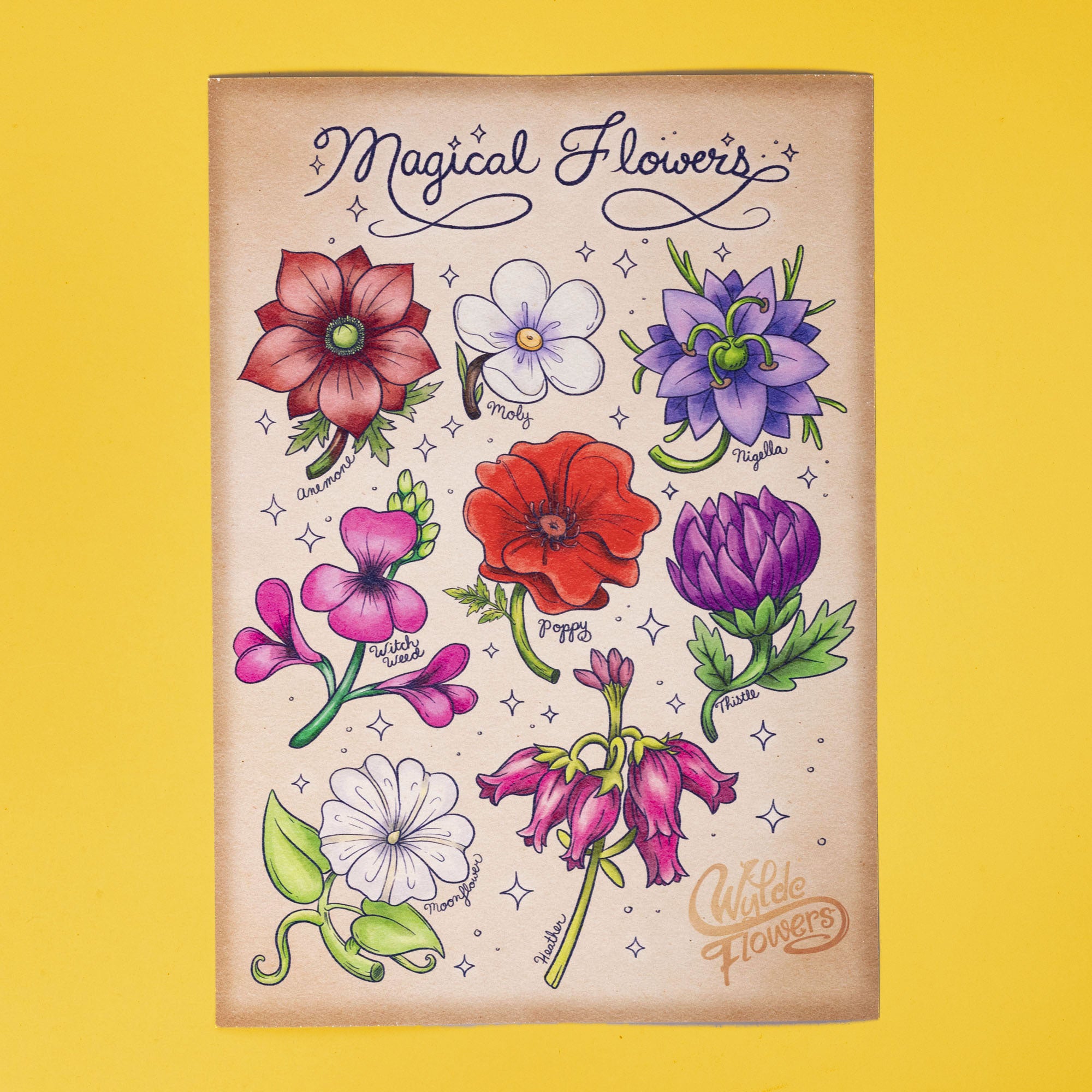 Magical Flowers Drawings